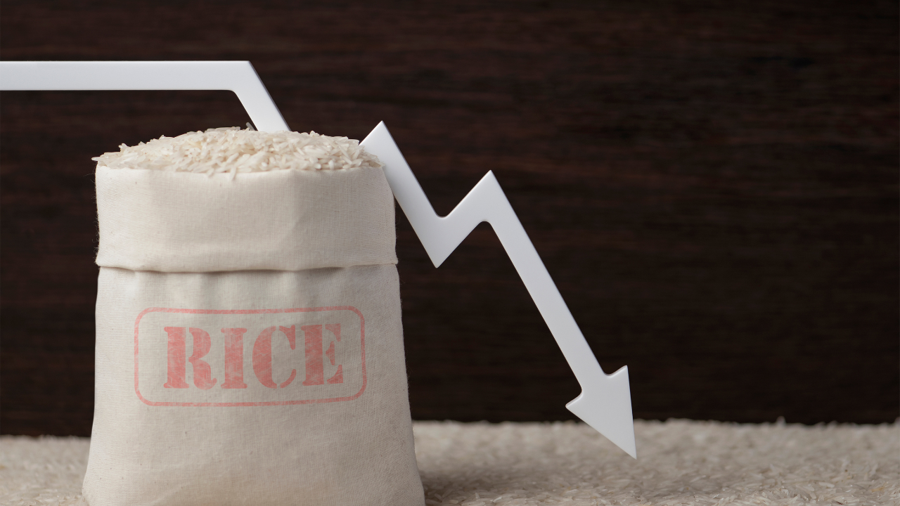 【令和の米騒動から学ぶ】政府備蓄米とGoogleサジェストに見る“検索ニーズ”の本質 - サチブロ｜サーチファンブログ